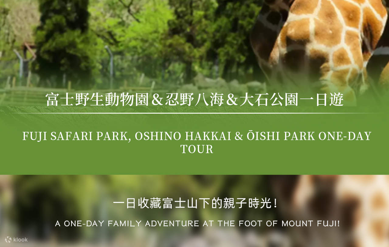 [Must-Do for Families] Fuji Safari Park × Oshino Hakkai × Oishi Park ...